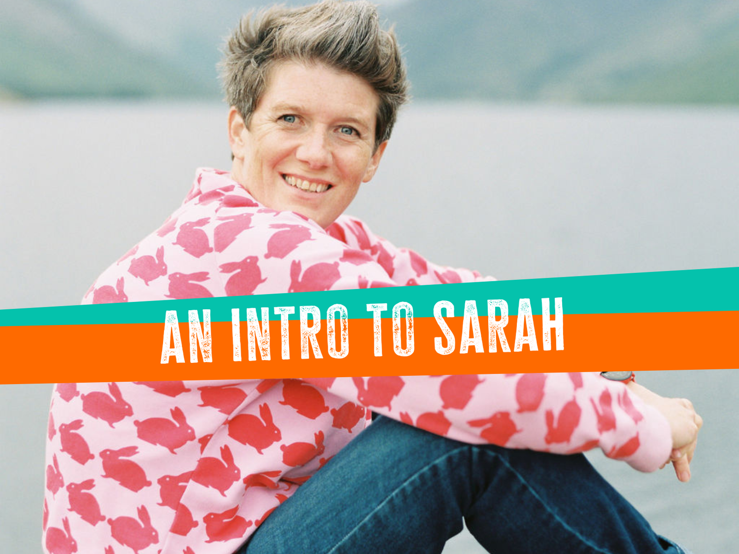 An Intro to Sarah Taylor & Her Animal Art | Wall Art | Animal Artwork ...