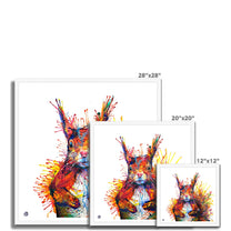Cyril the Squirrel Framed Print – Sarah Taylor Art