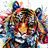 Original Pet Portrait by Wildlife Artist Sarah Taylor – Sarah Taylor Art